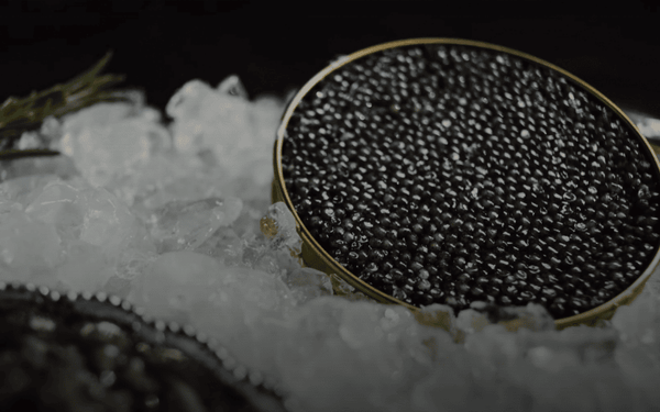 How long does caviar last? Storage tips, shelf life & freshness guide