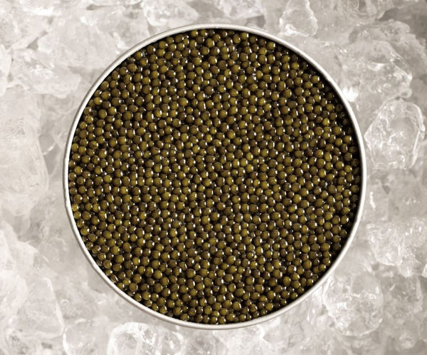 The Caviar Club Ossetra | OM Caviar